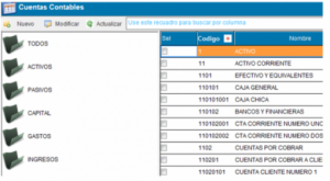 VIP Módulo Contable Catálogo de Cuentas – Contaportable